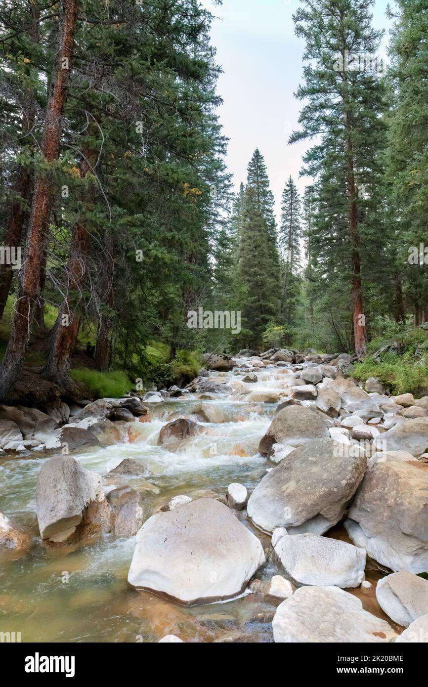 Scenic creek off Guanella Pass Road, Pike National Forest, Colorado ...
