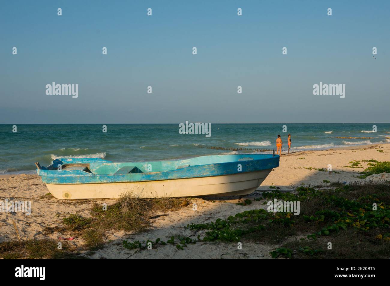 beach erosion at Chelem, Yucatan, Mexico, on the Gulf of Mexico Stock ...