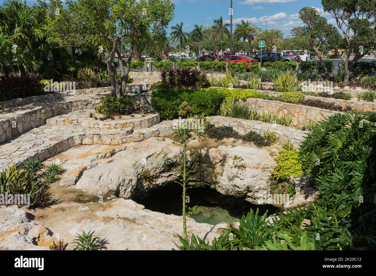 Cenote in parking lot at Costco, Merida, Yucatan Stock Photo - Alamy