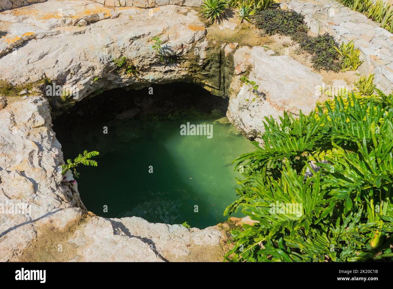 Cenote in parking lot at Costco, Merida, Yucatan Stock Photo - Alamy