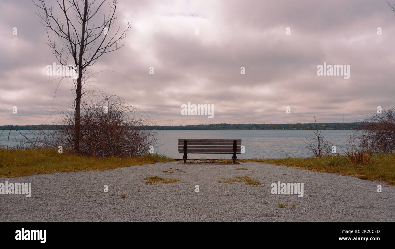 A bench on the shore of a lake Stock Photo - Alamy