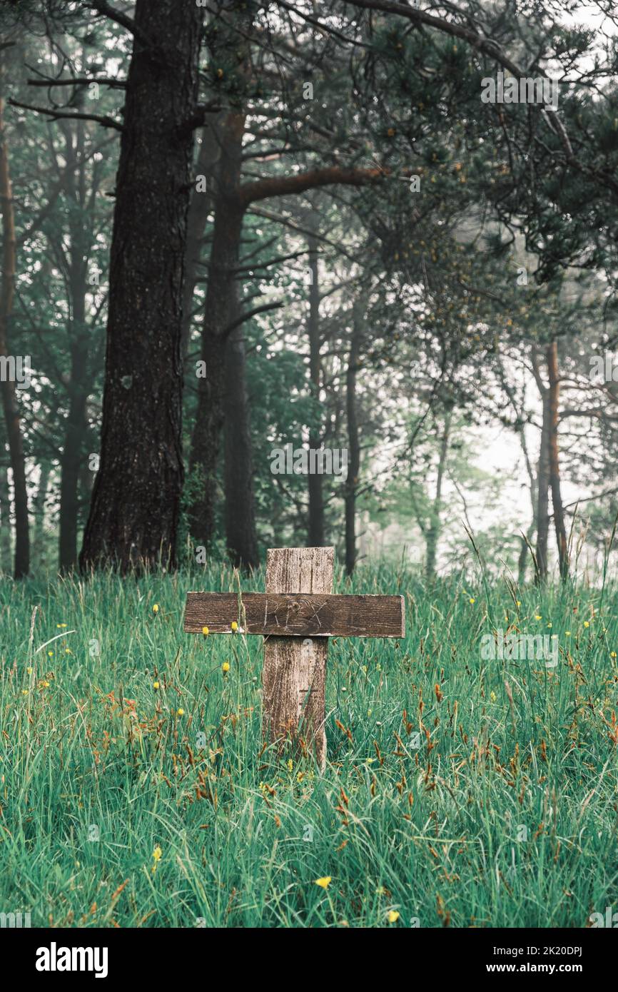 Cimitero degli animali hi-res stock photography and images - Alamy
