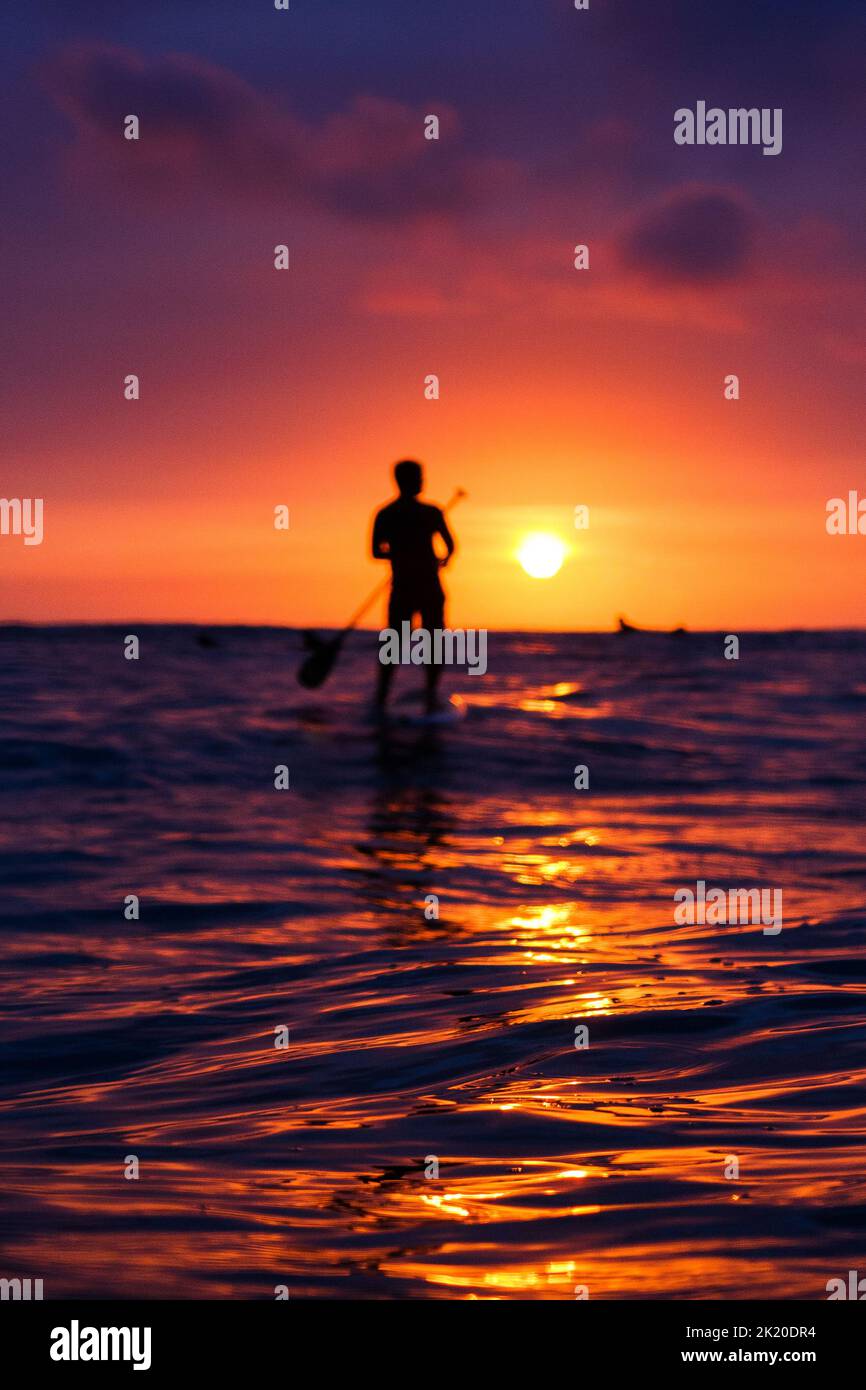 Paddleboarder at Sunset with Ocean Reflections in Playa la Pampilla ...