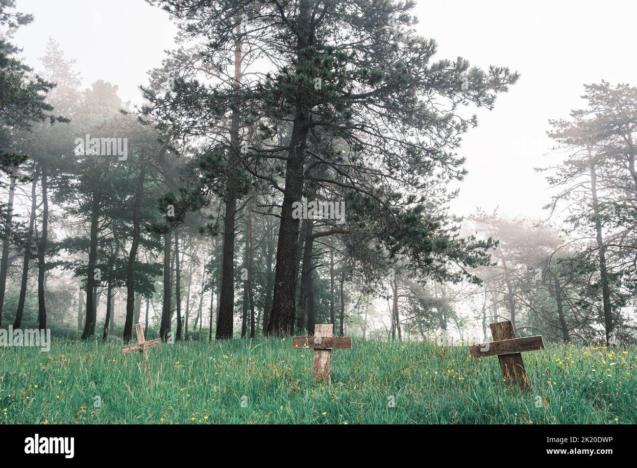 Cimitero degli animali hi-res stock photography and images - Alamy