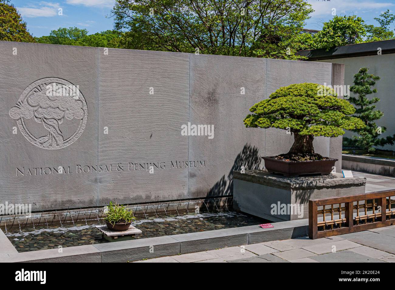 National Bonsai and Penjing Museum, Washington, DC USA, Washington ...