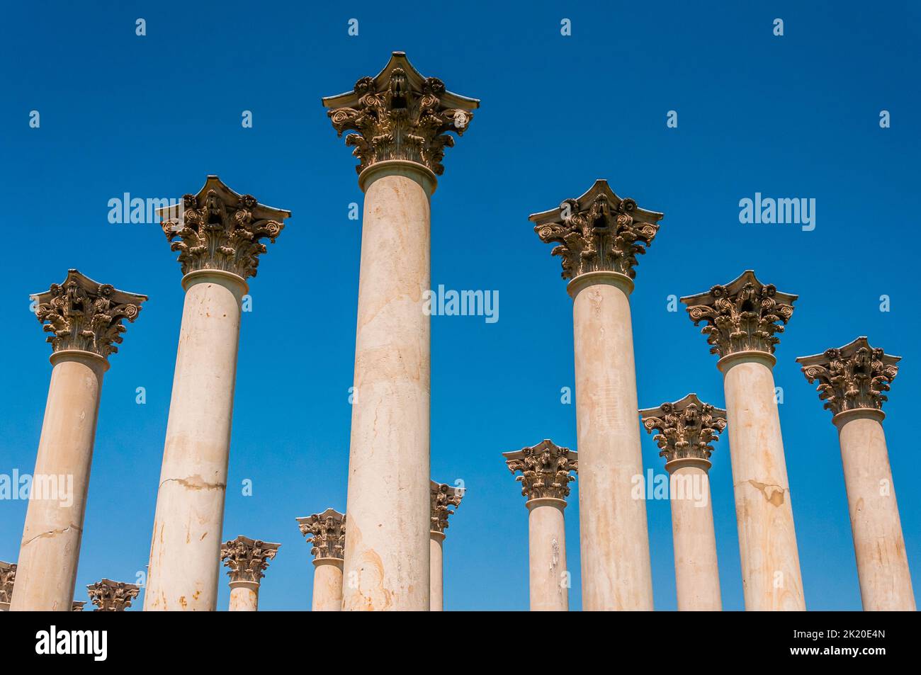 Ellipse meadow washington hi-res stock photography and images - Alamy