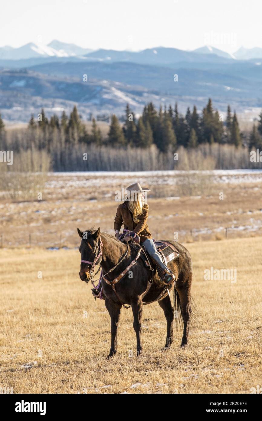 Female rancher horseback riding on sunny mountain ranch Stock Photo - Alamy