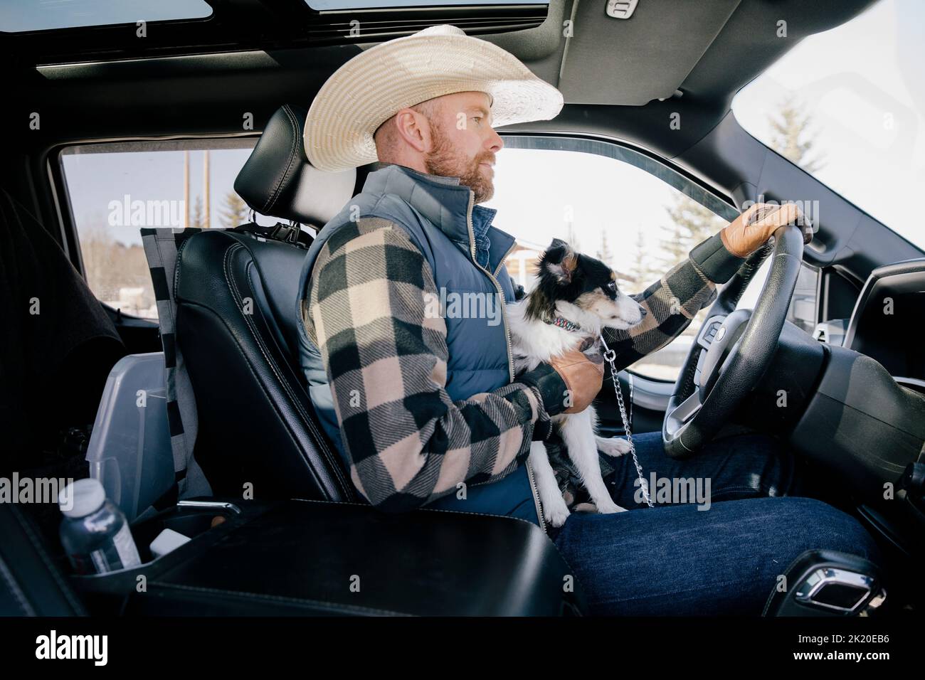 Driving with puppy hi-res stock photography and images - Alamy