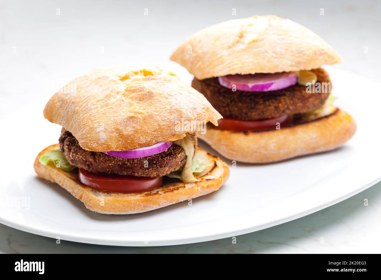 chicken burger with red onion, tomato and lettuce Stock Photo - Alamy