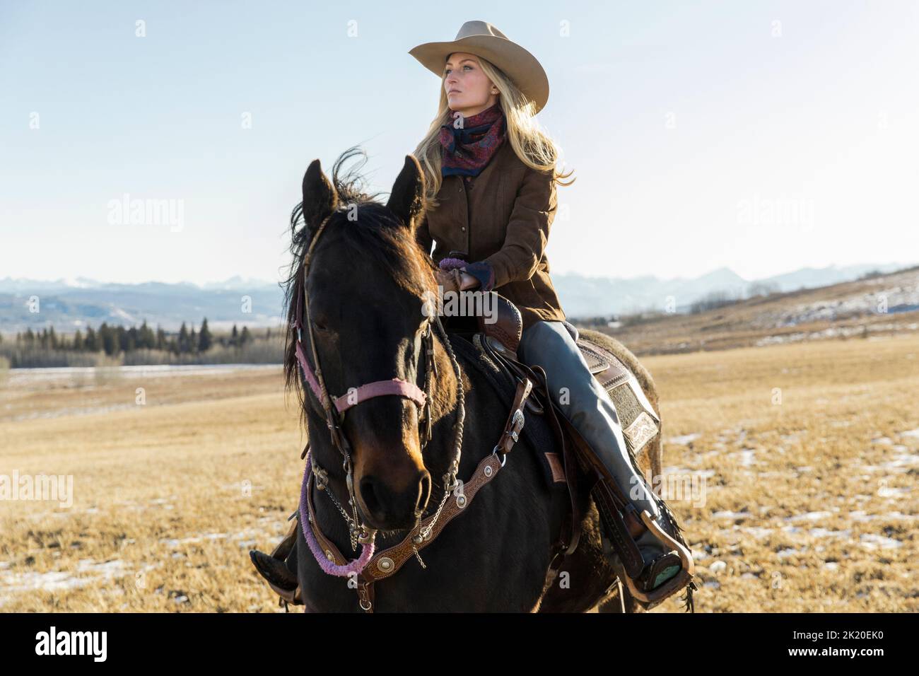 Female horseback riding hi-res stock photography and images - Alamy