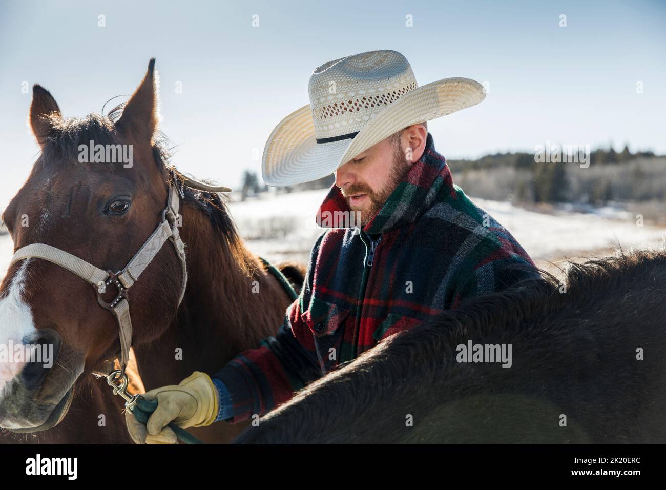 Male on horse hi-res stock photography and images - Alamy