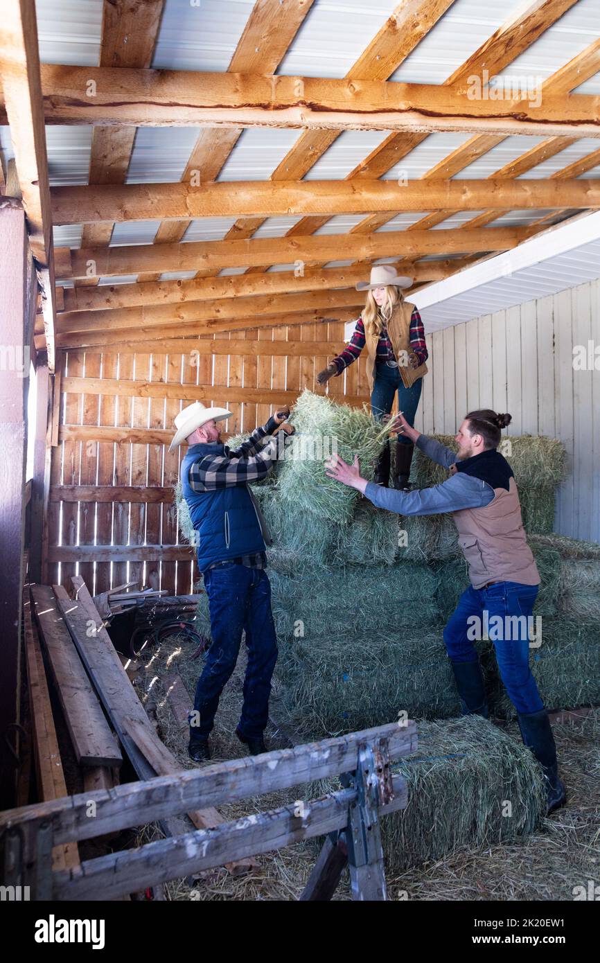 Man woman hay barn hi-res stock photography and images - Alamy