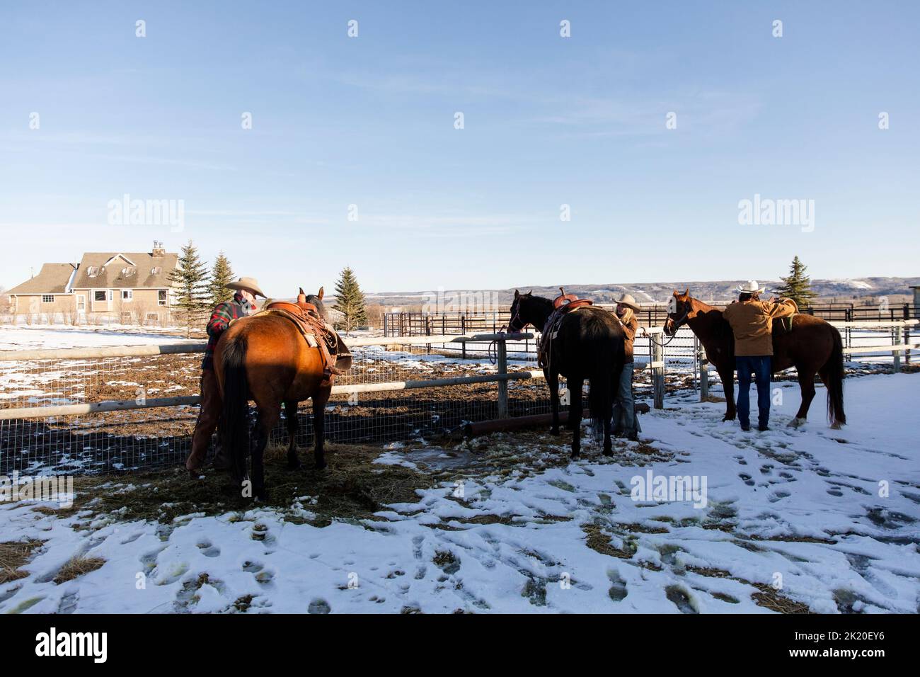 Hispanic farmer horses hi-res stock photography and images - Alamy