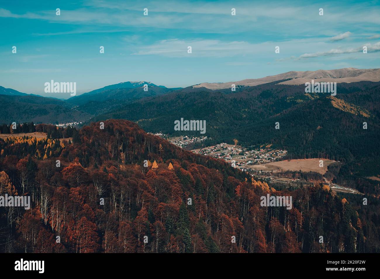 An aerial view of red trees in the mountain Stock Photo - Alamy