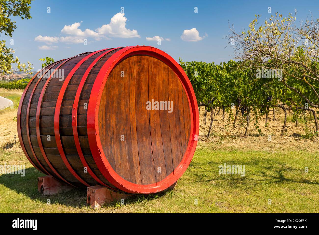 Wine barrel in vineyard, Tuscany, Italy Stock Photo - Alamy