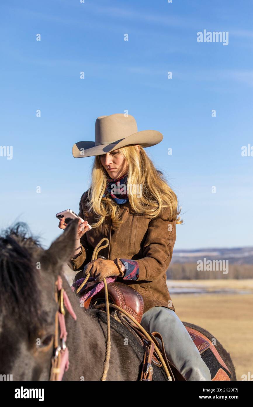 Rancher using phone hi-res stock photography and images - Alamy