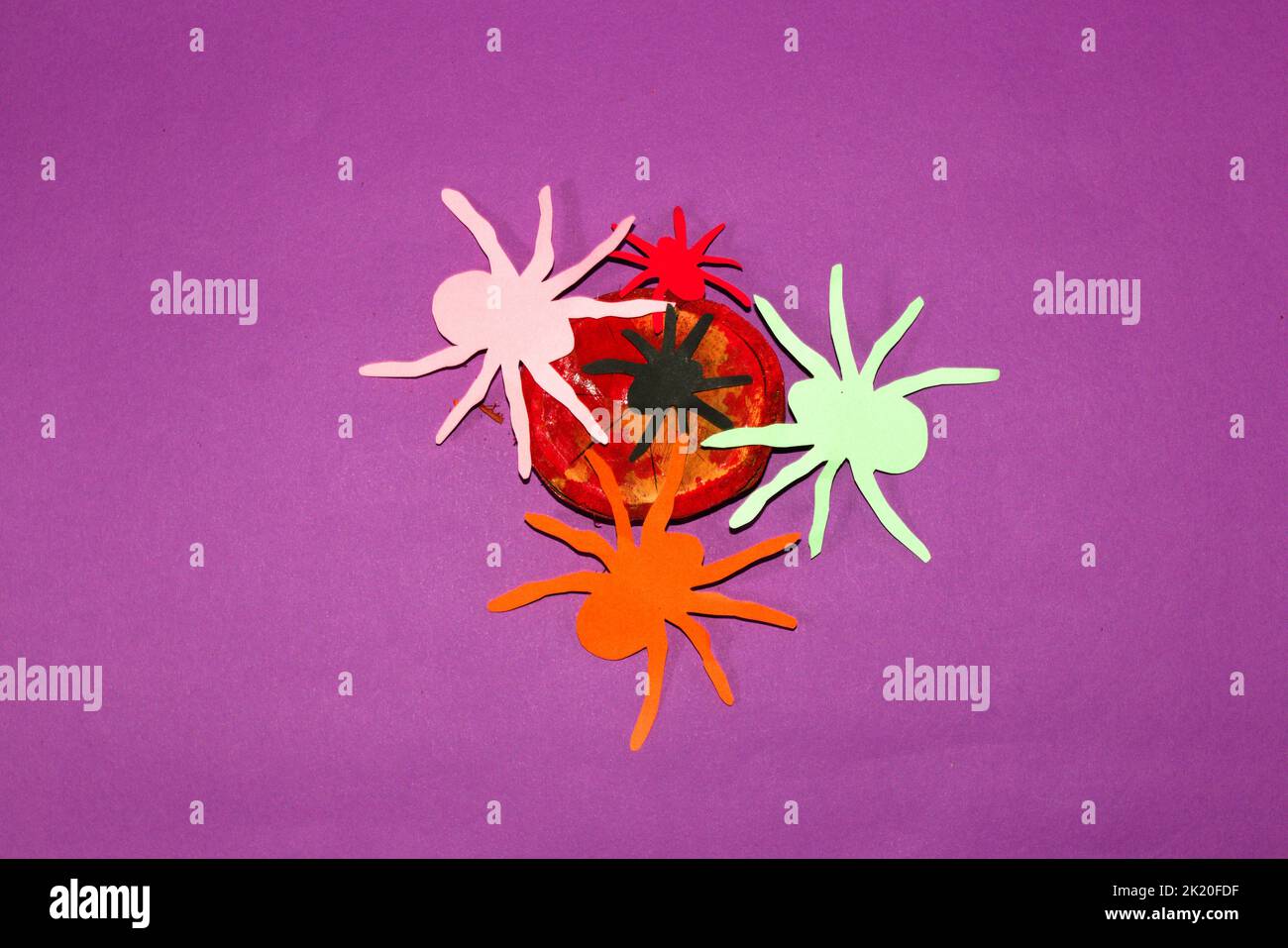 colorful spiders on a stump, creative halloween concept, flat lay ...