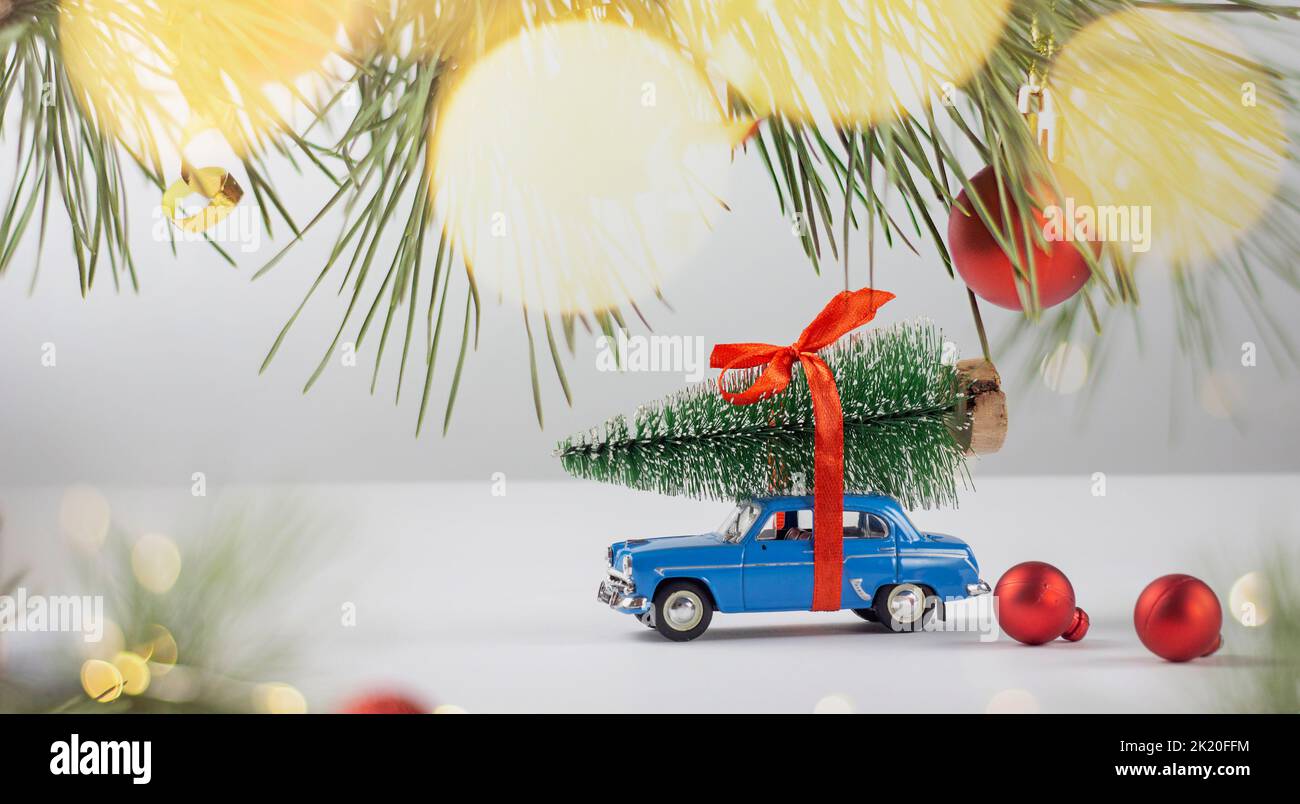 Christmas background with Christmas trees. Festive Flat lay. Banner ...