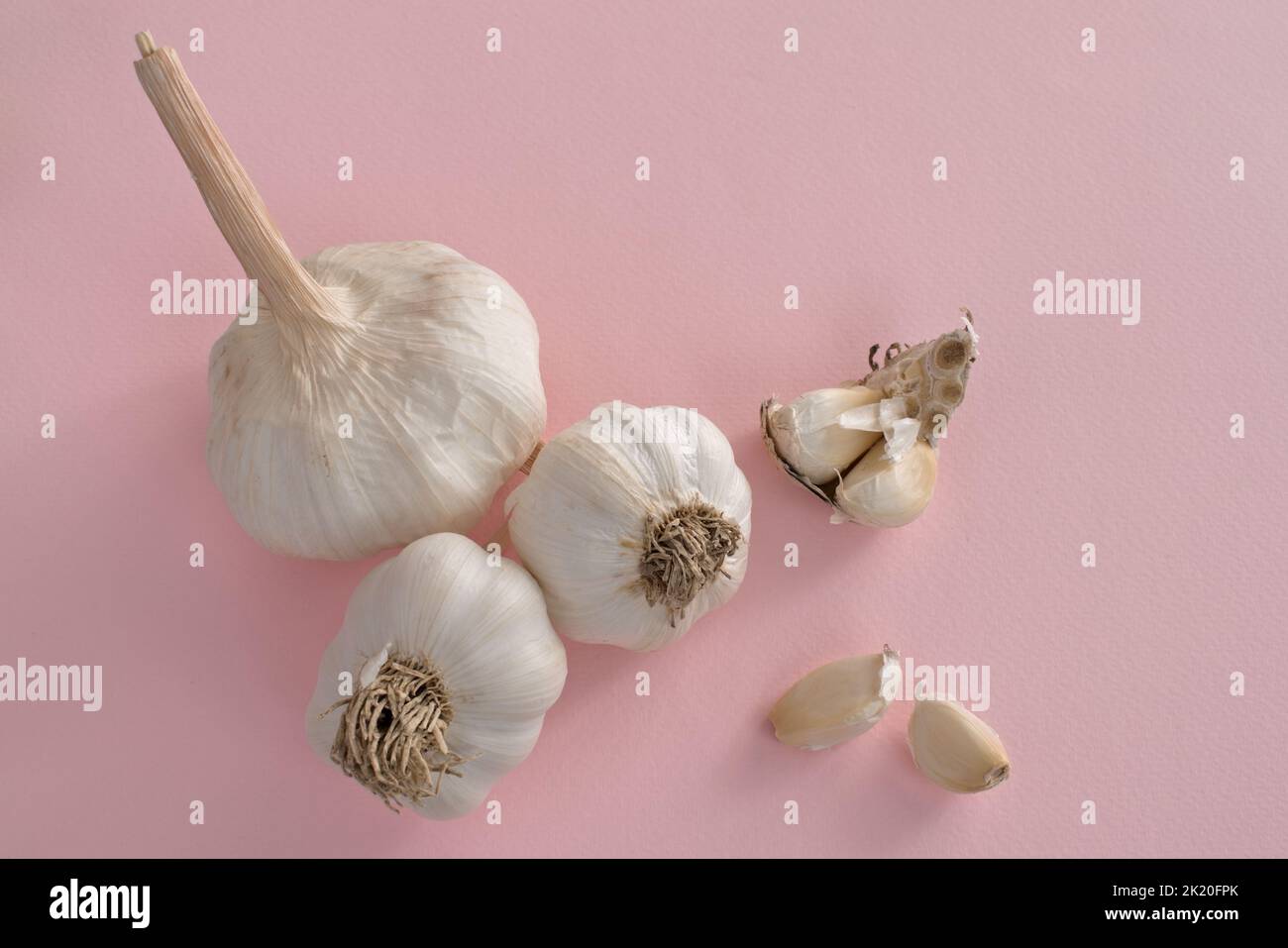 Why Is My Garlic Pink