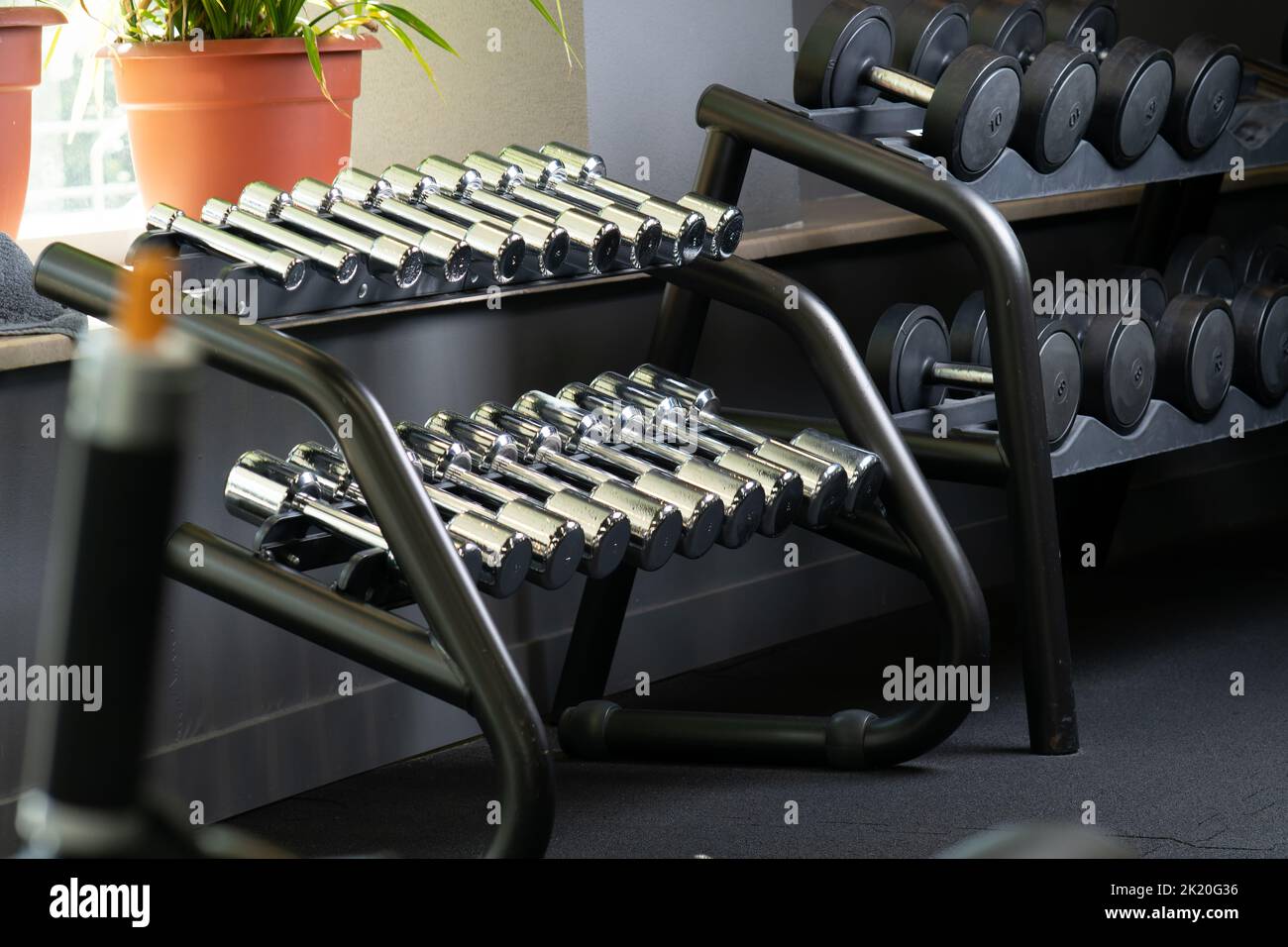 Fitness gym exercise sport workout weight training fit healthy, for ...