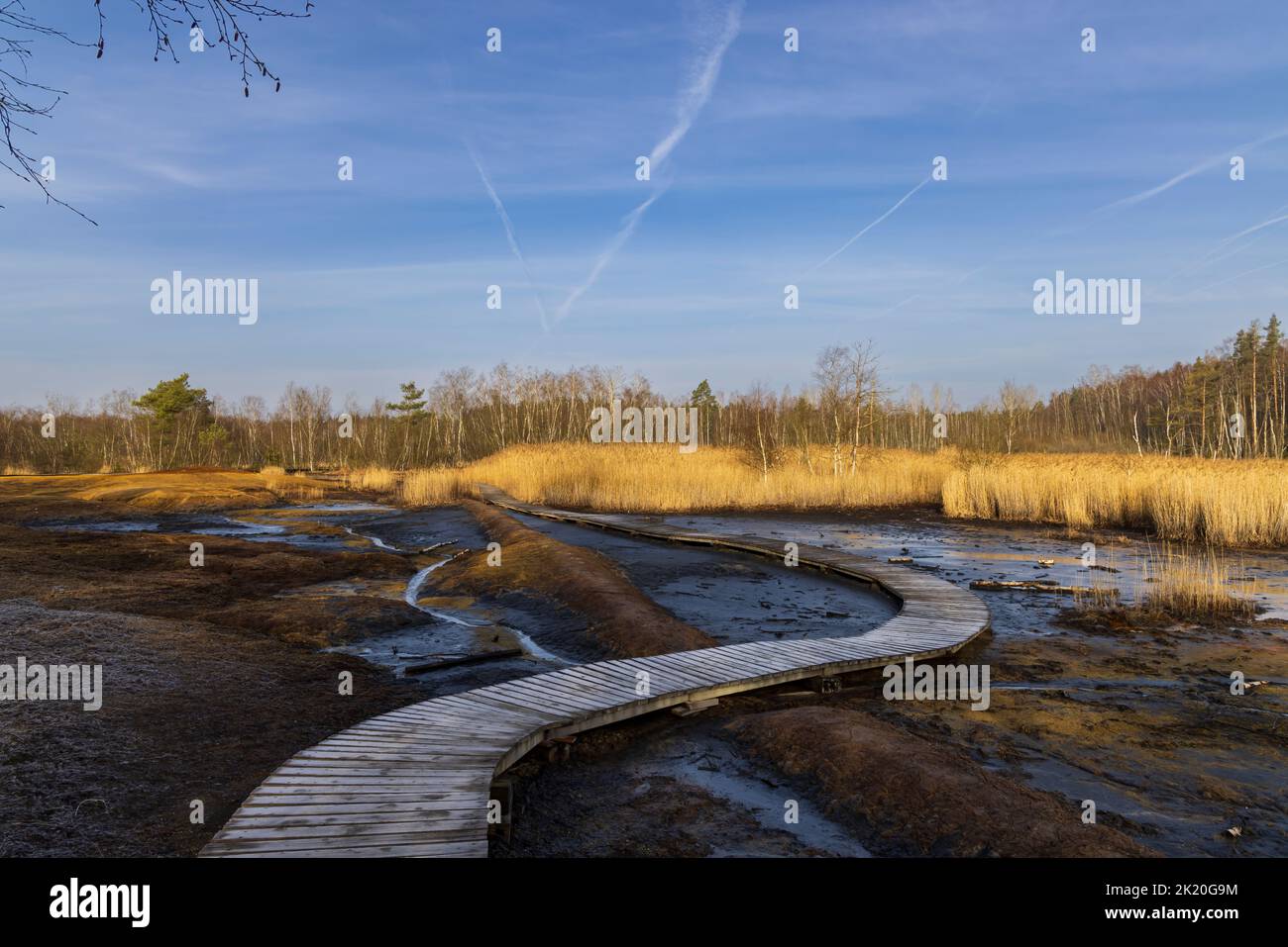Nature reserve Soos, Western Bohemia, Czech Republic Stock Photo - Alamy