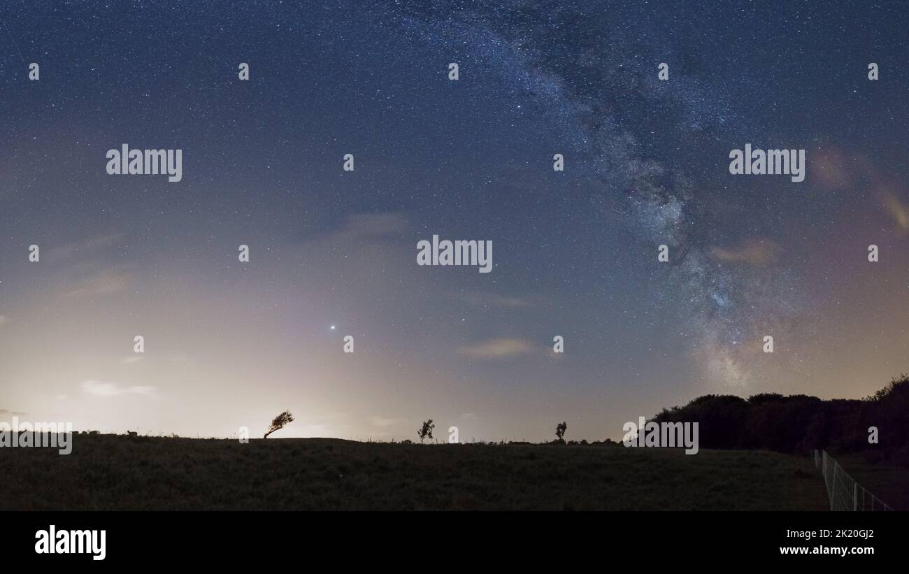 Silhouettes of small trees on a pasture with milky way on the night sky ...