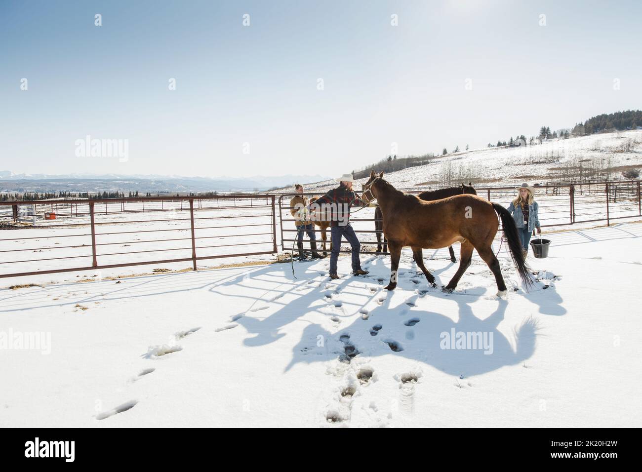Hispanic farmer horses hi-res stock photography and images - Alamy