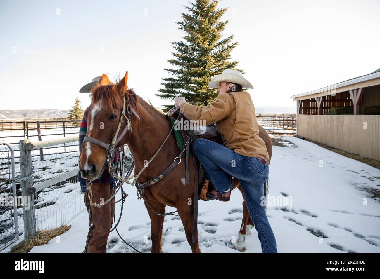 Male on horse hi-res stock photography and images - Alamy