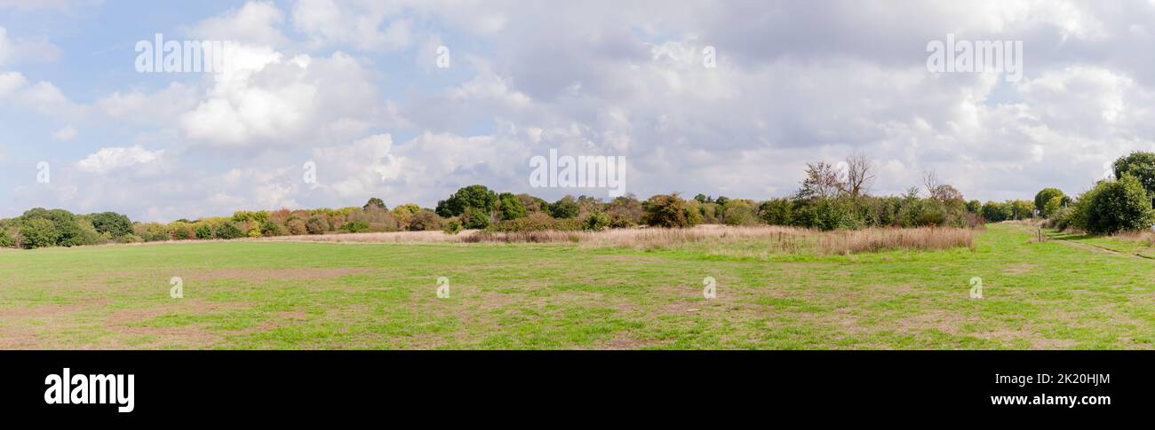 Trees grass and distant houses in Wanstead Flats Stock Photo - Alamy