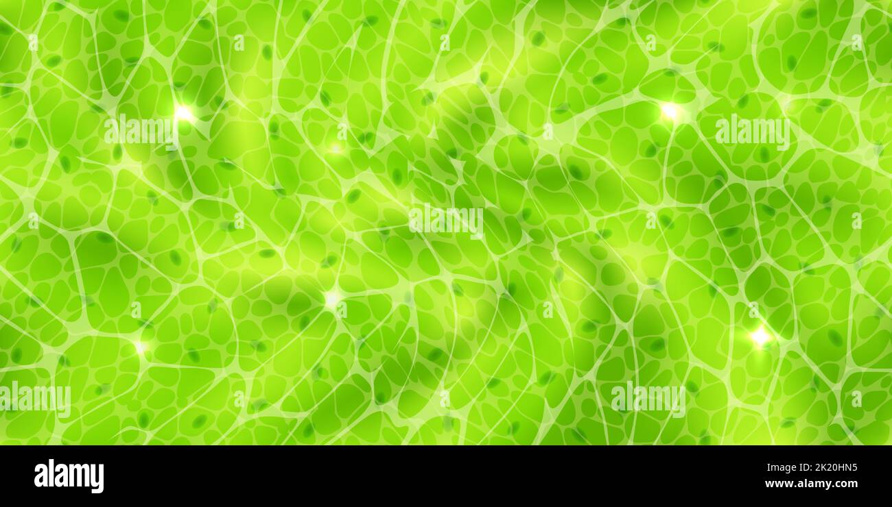 Abstract green seamless pattern or plant cells with nuclears texture ...