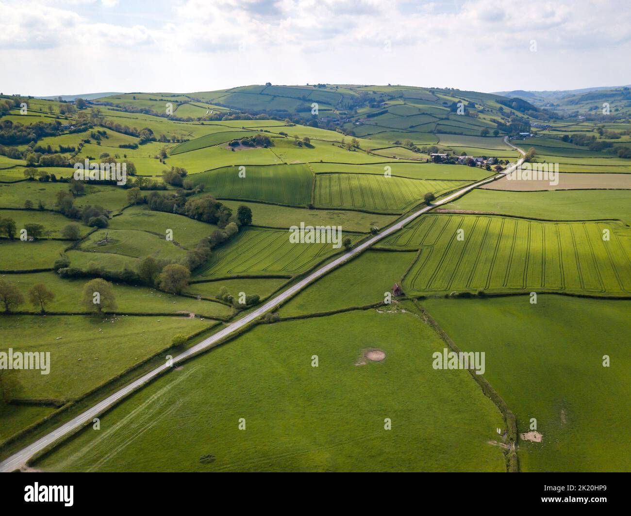 An Aerial view of green agricultural fields in lines Stock Photo - Alamy