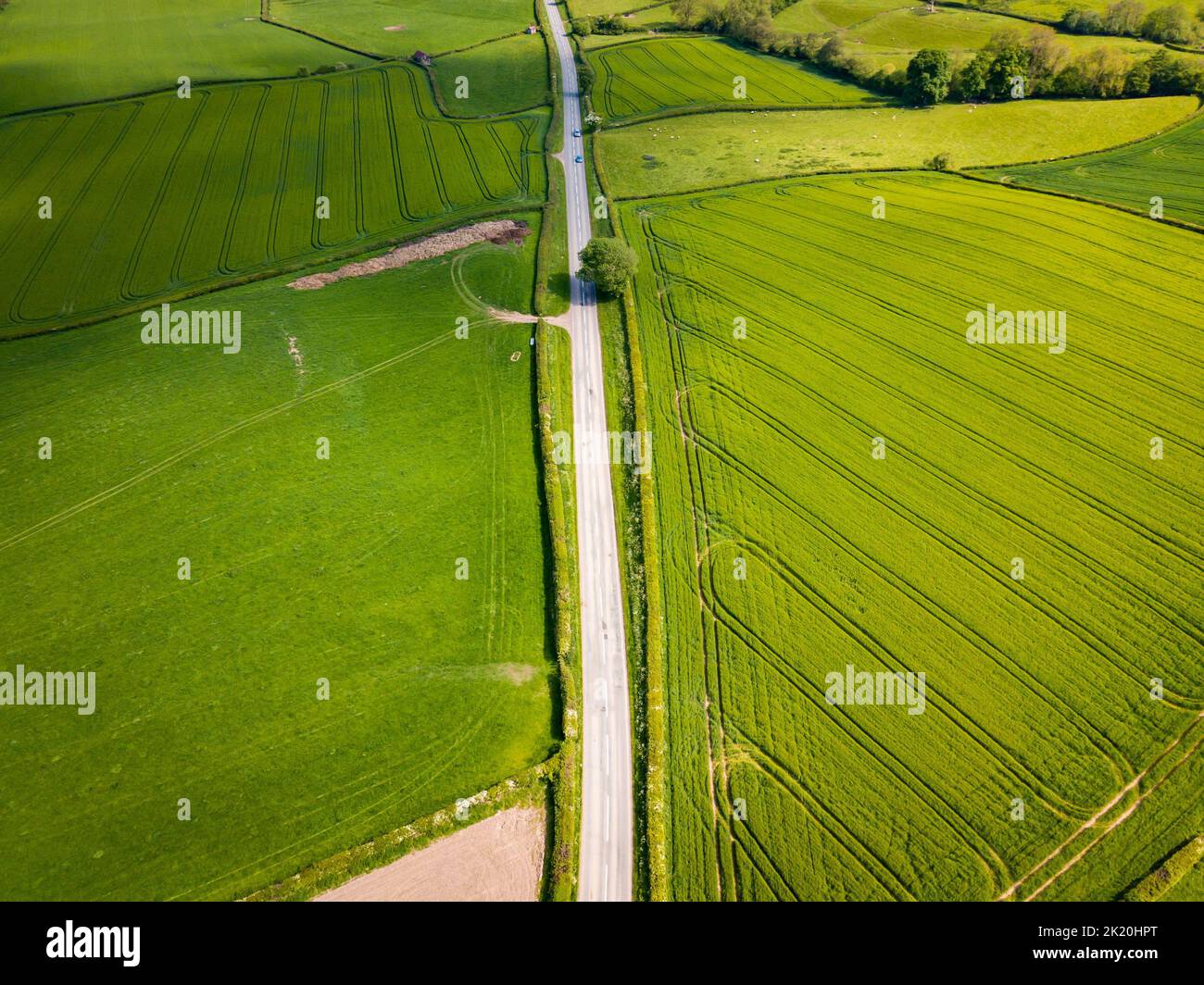 An Aerial view of green agricultural fields in lines Stock Photo - Alamy
