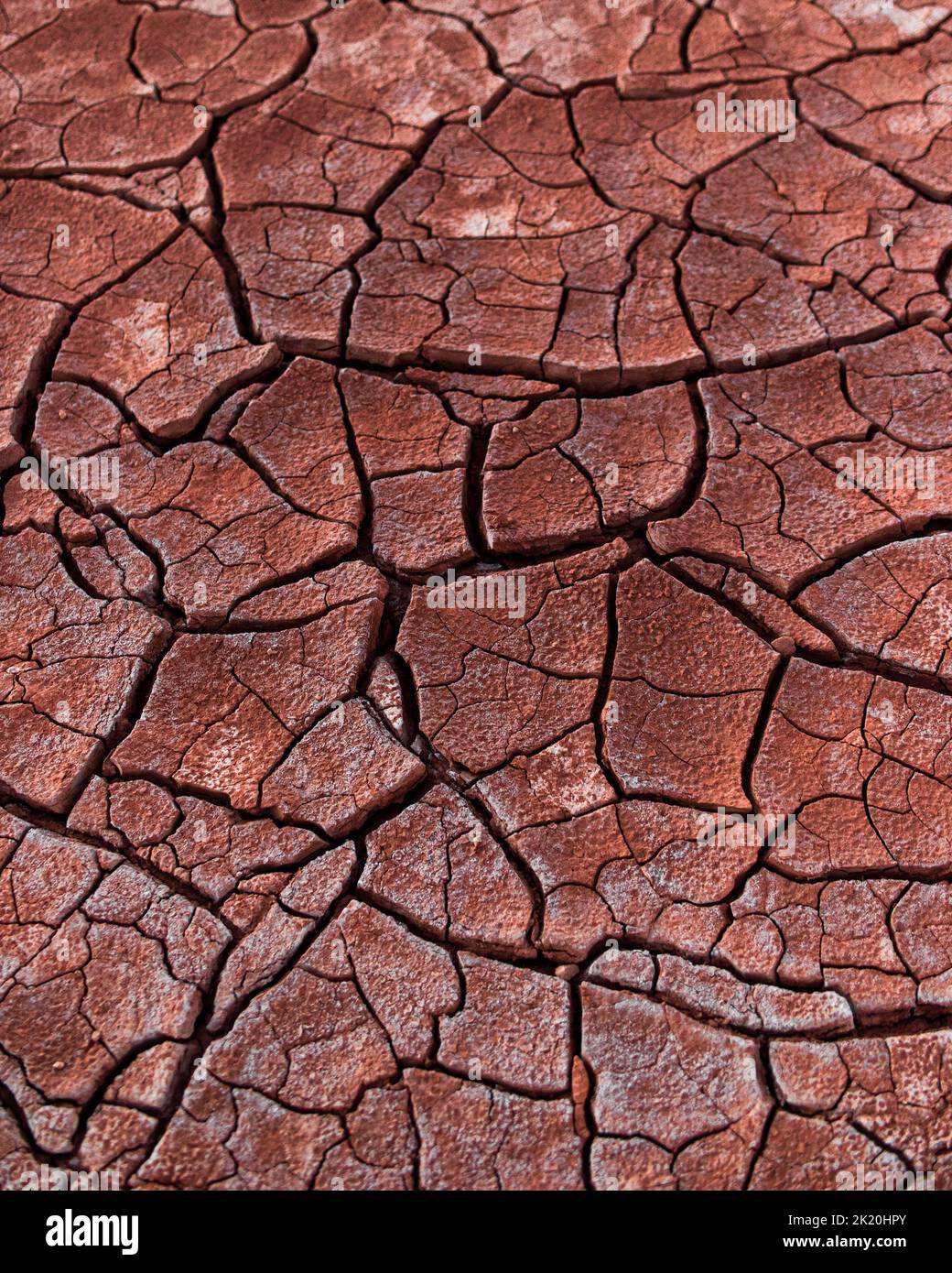 A closeup of a cracked brown ground, perfect for wallpaper and ...