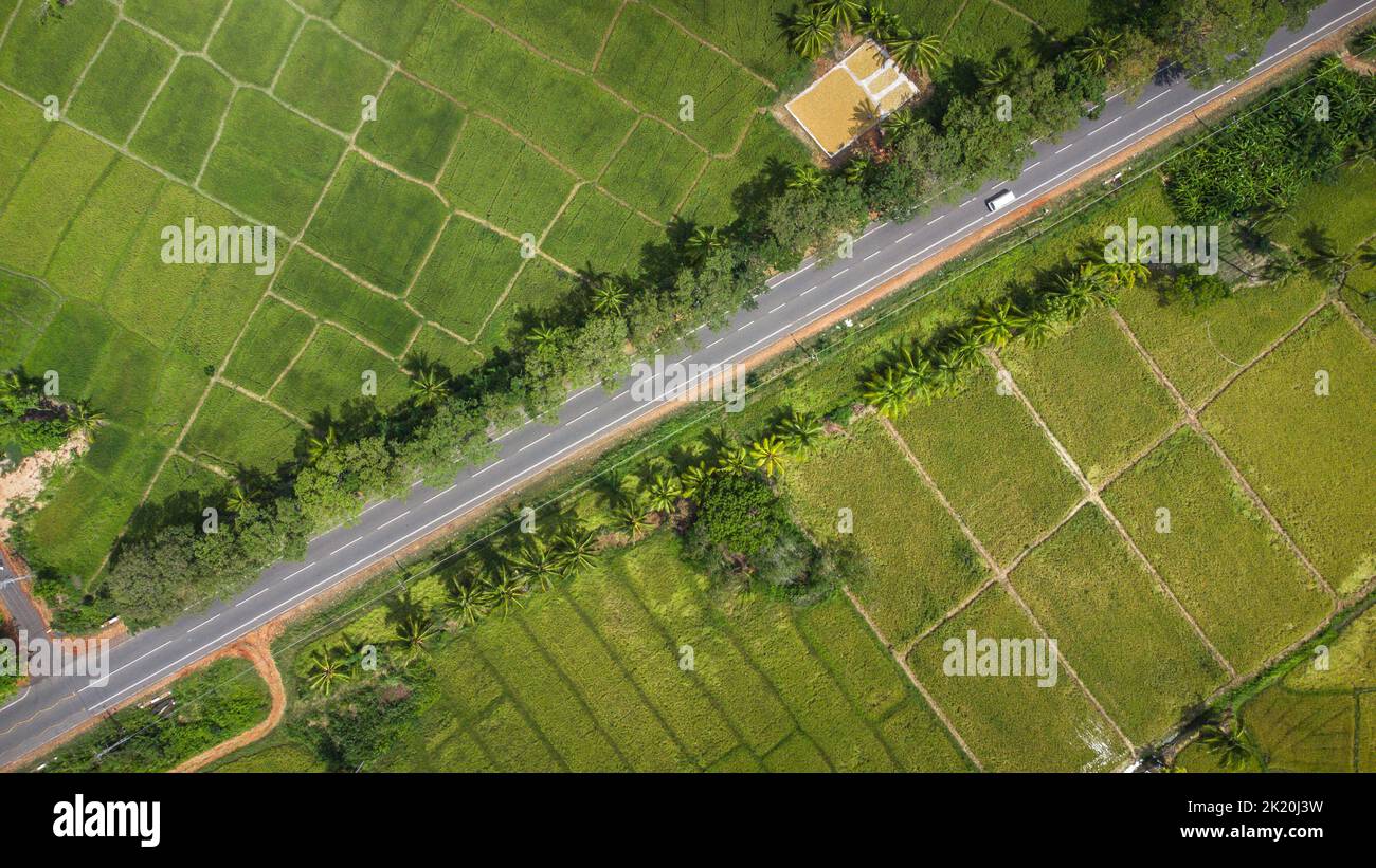 An aerial view of a wide rice field Stock Photo - Alamy