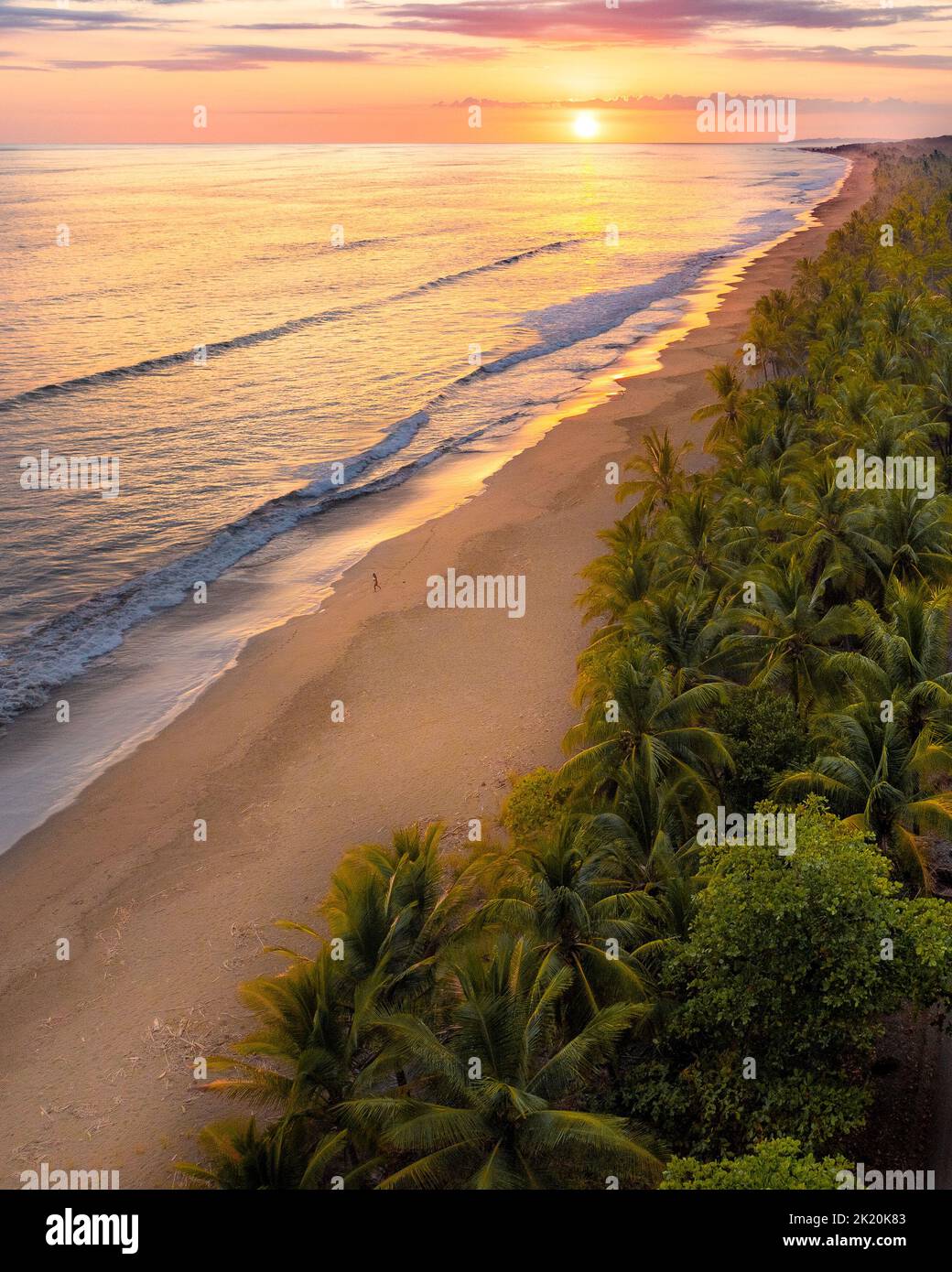 Palo seco hi-res stock photography and images - Alamy