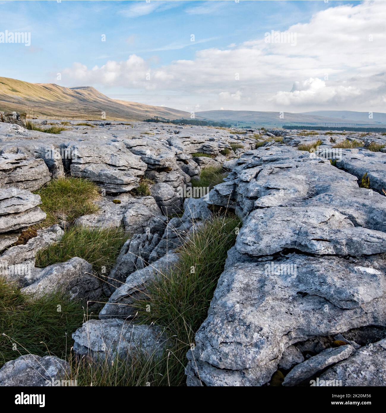 Whernside is the highest mountain out of Yorkshire's 'Three Peaks' and ...