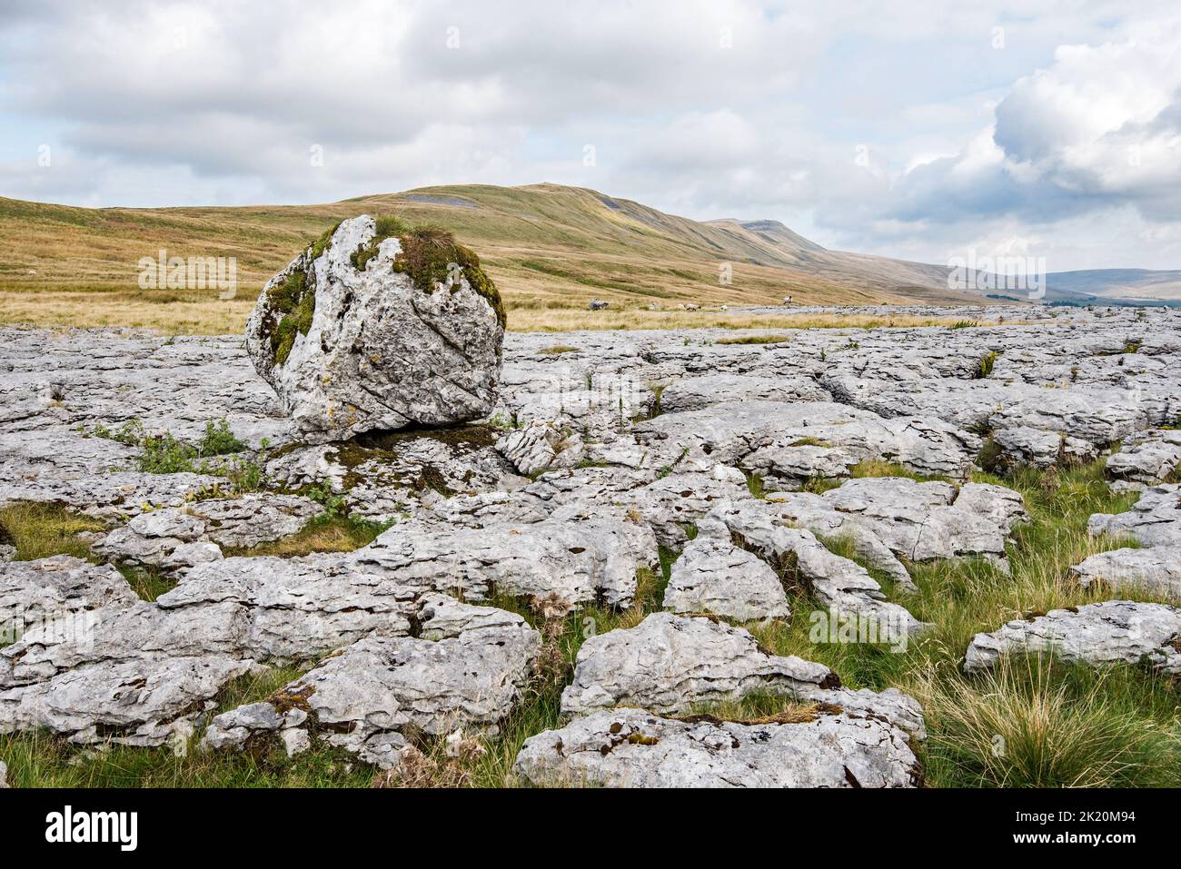 Whernside is the highest mountain out of Yorkshire's 'Three Peaks' and ...