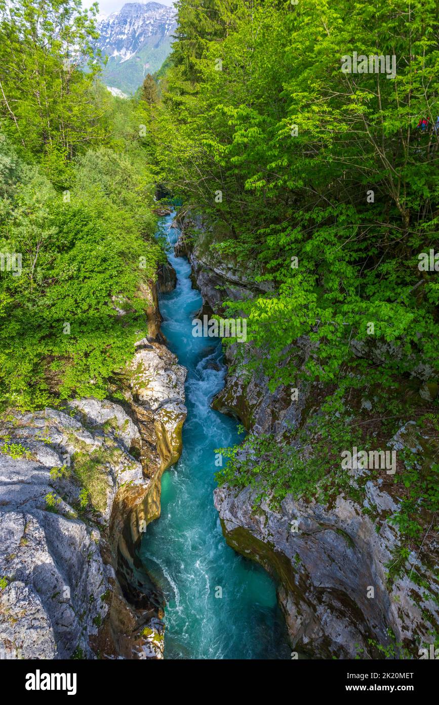 Great Soca Gorge (Velika korita Soce), Triglavski national park ...