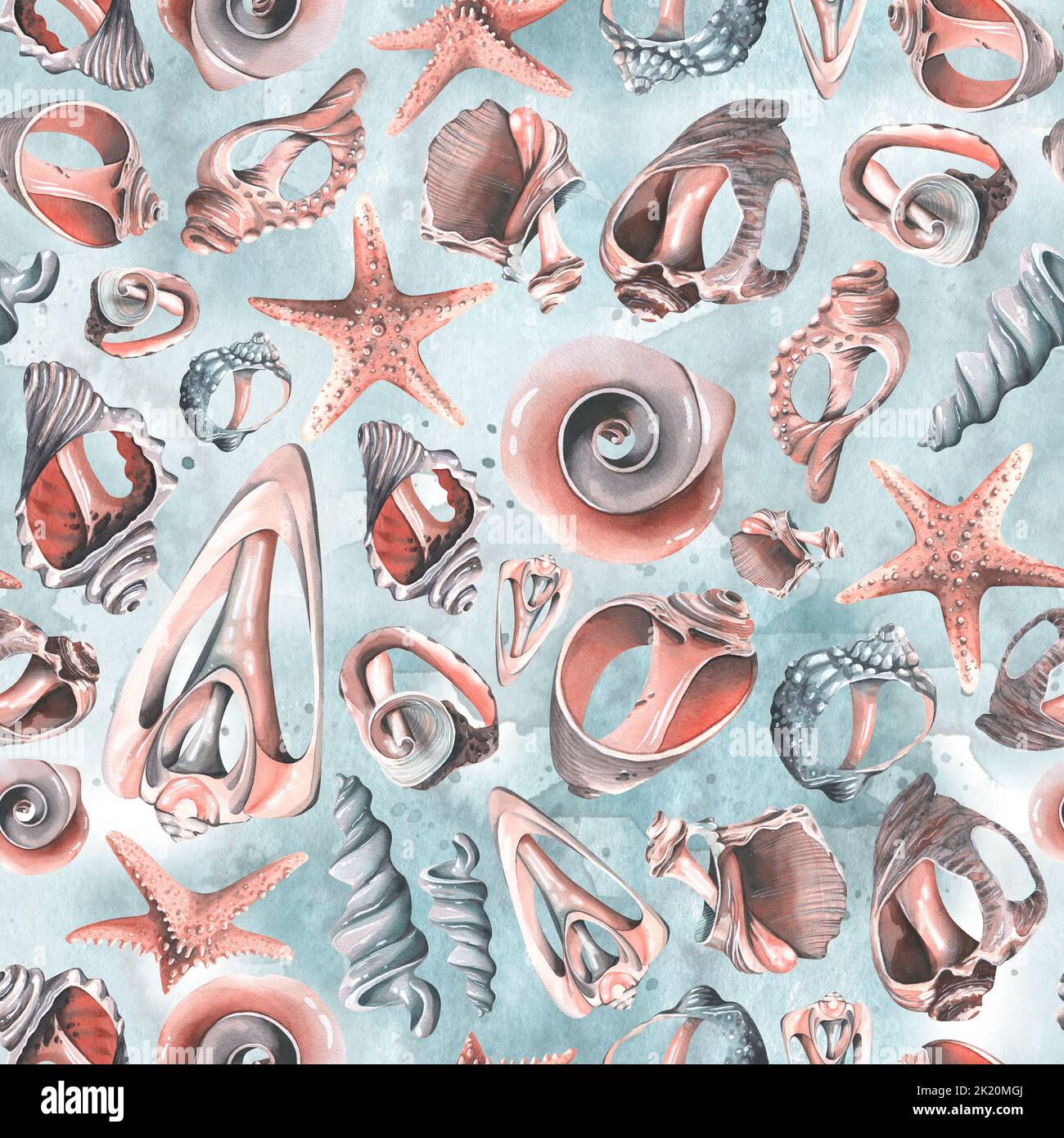 Destroyed, broken shells, starfish on the background of water and sea ...