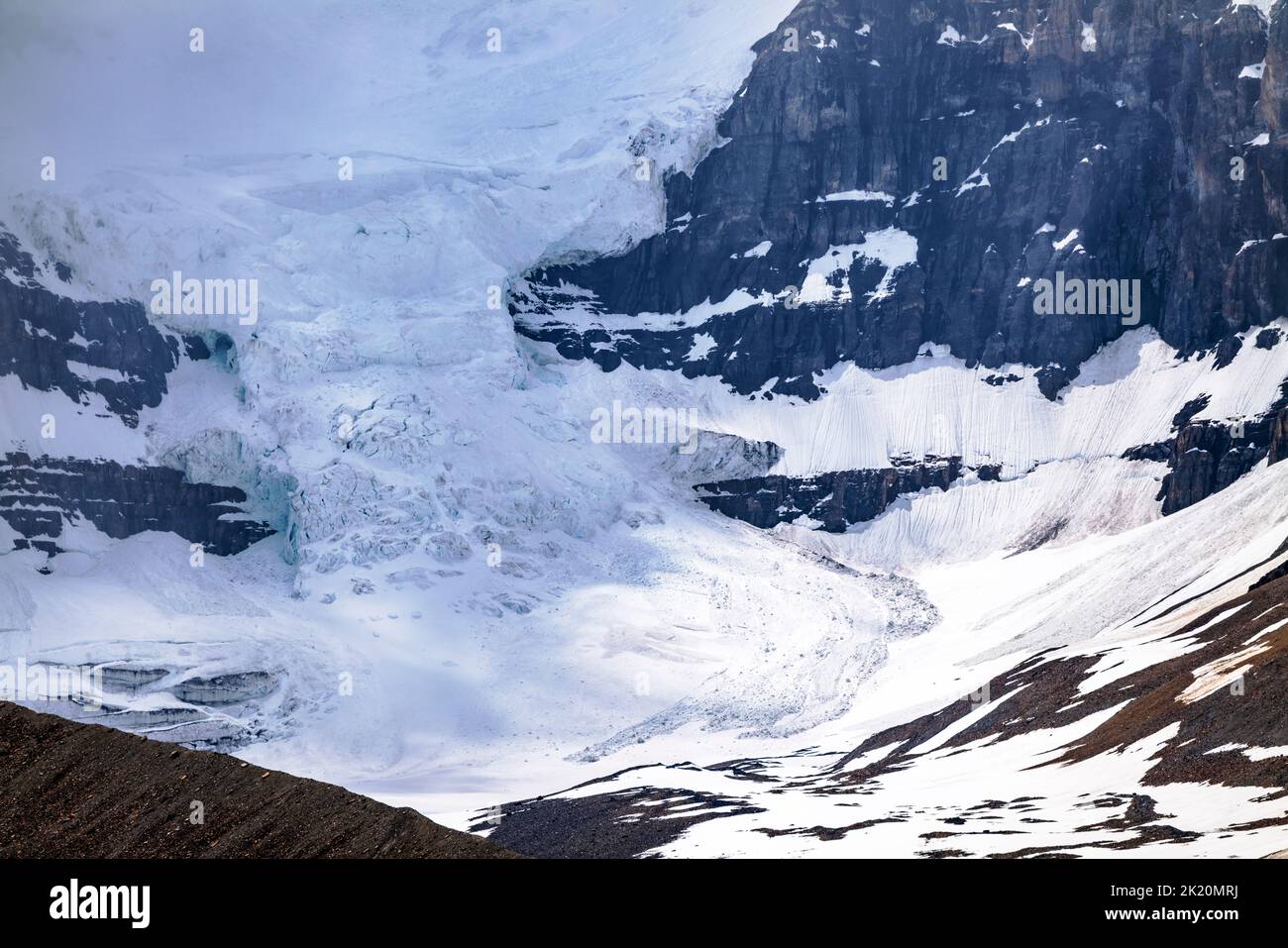 Snow Dome mountain; Dome Glacier; Columbia Ice Fields; Jasper National ...