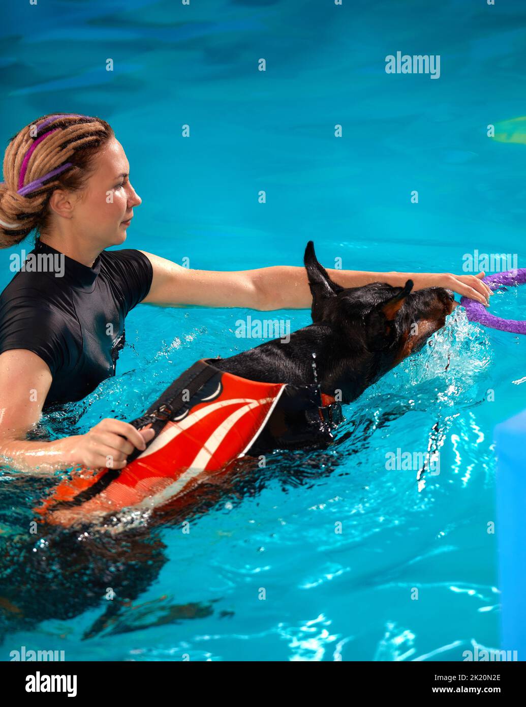 Dog in life jacket swim in the swimming pool with coach. Pet rehabilitation. Recovery training ...