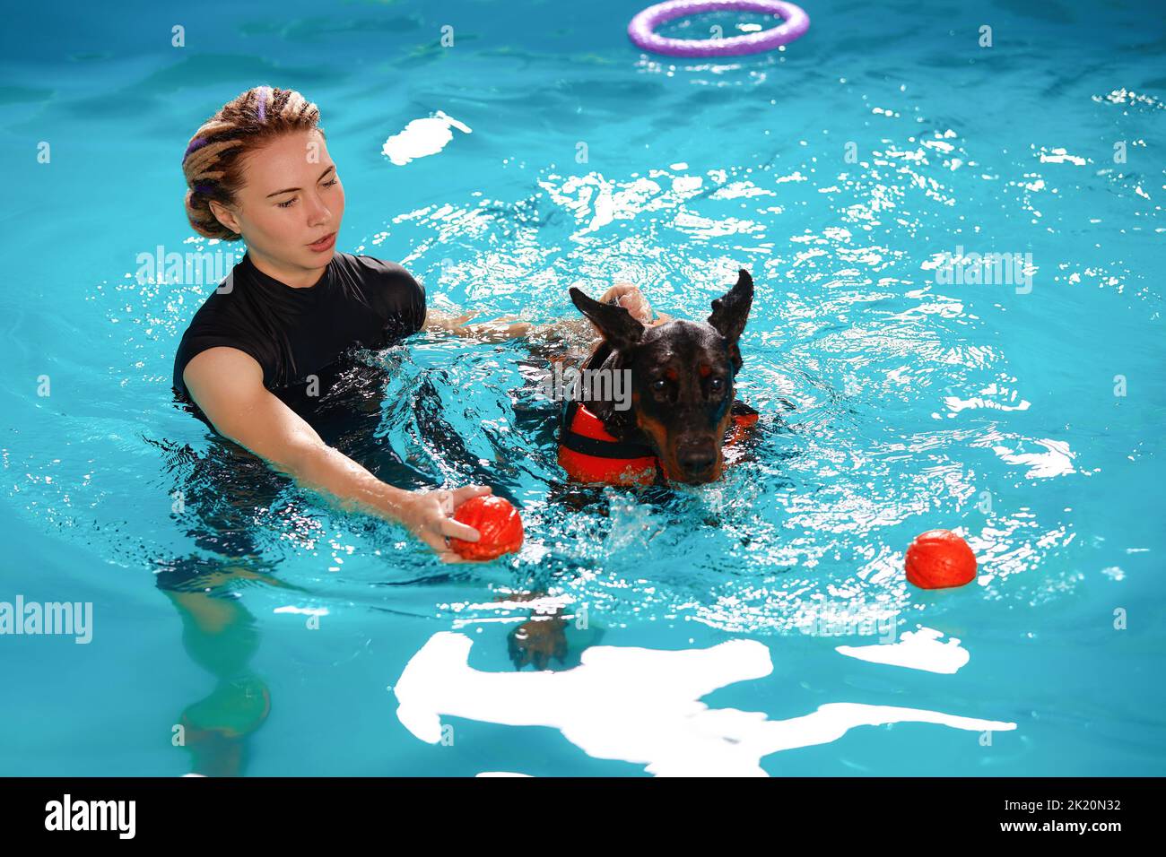 Dog in life jacket swim in the swimming pool with coach. Pet rehabilitation. Recovery training ...
