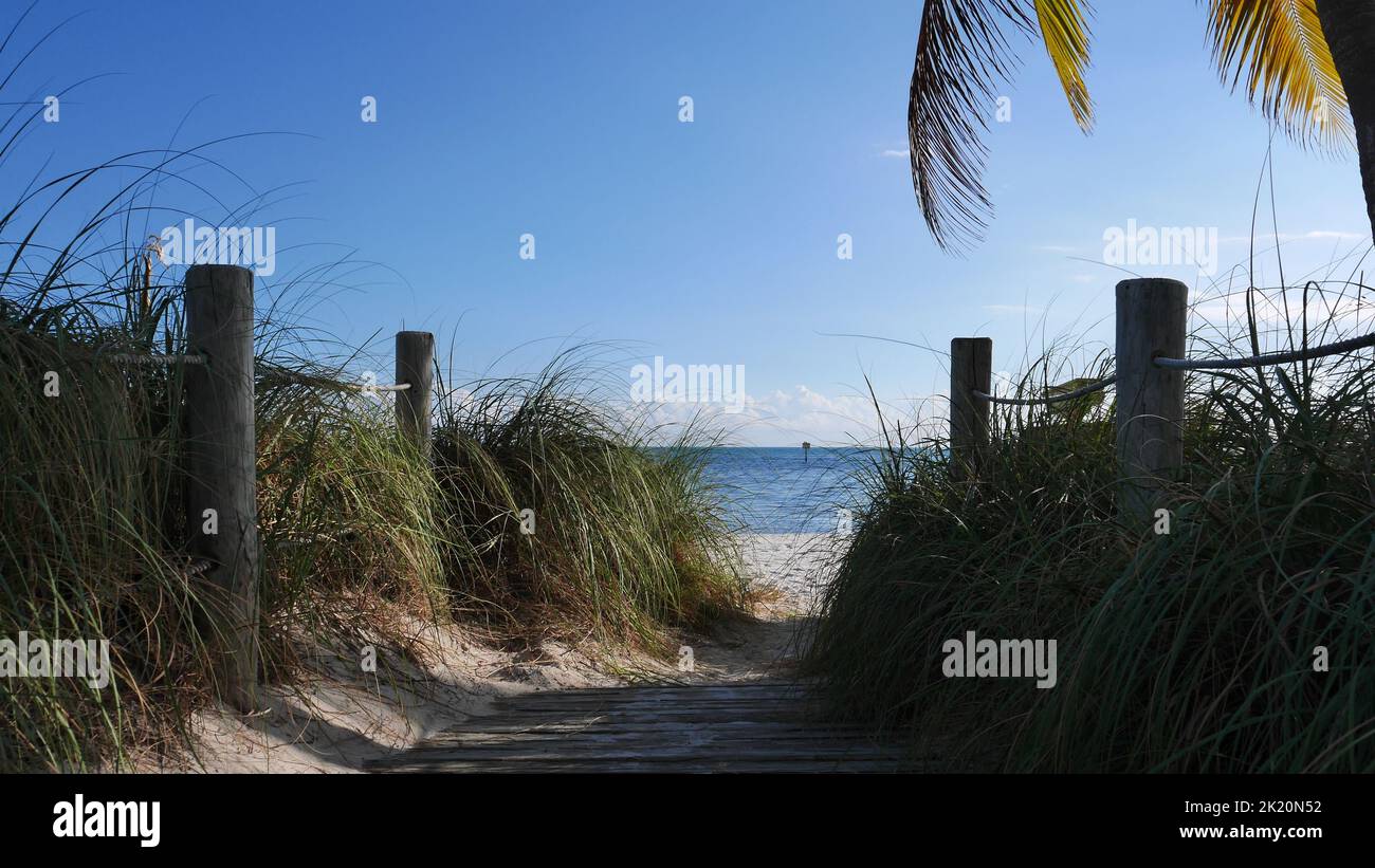 Sandy strand hi-res stock photography and images - Alamy