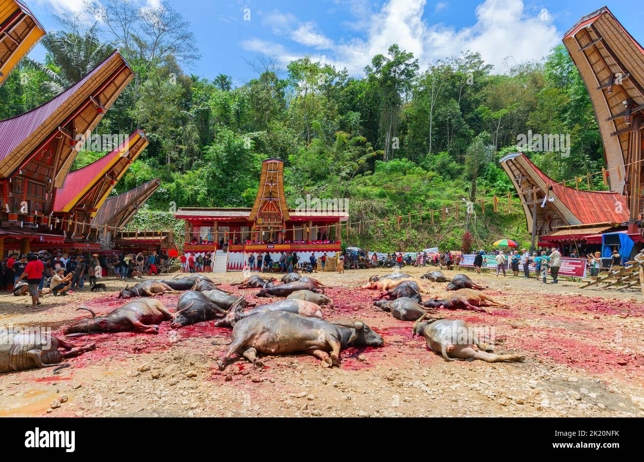 RANTEPAO, INDONESIA - August 29, 2022: Funeral ceremony in Tana Toraja ...