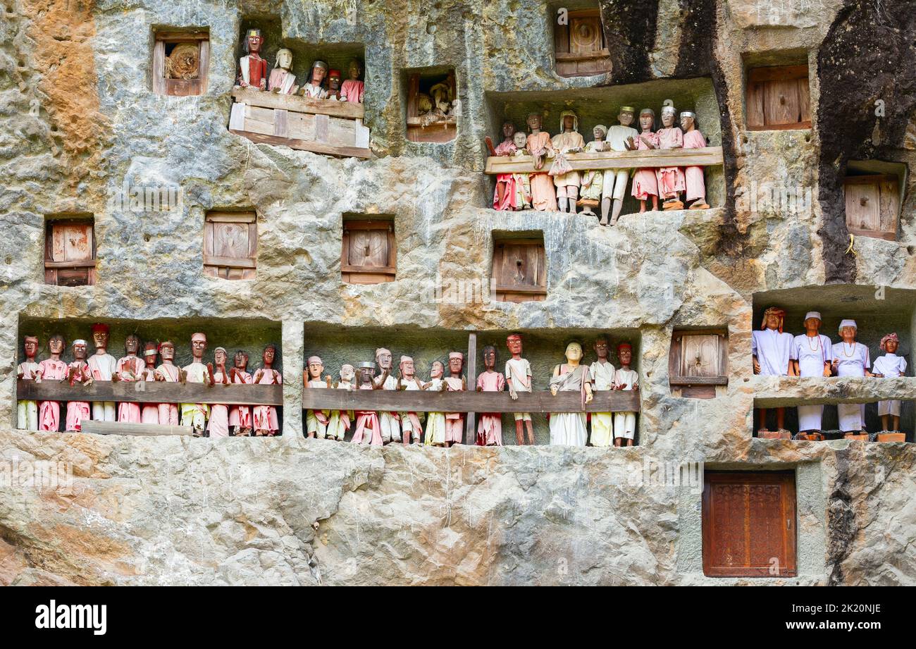Traditional Tau tau, wooden statues representing dead men in a rock ...
