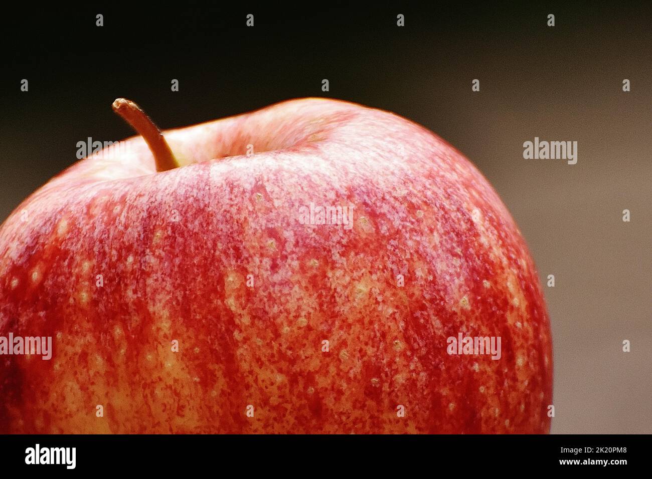 Red and green apple farm Stock Photo - Alamy