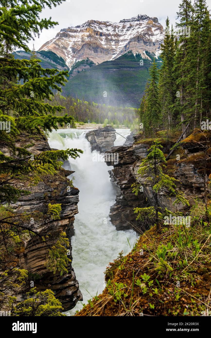 Waterfall athabasca falls hi-res stock photography and images - Alamy