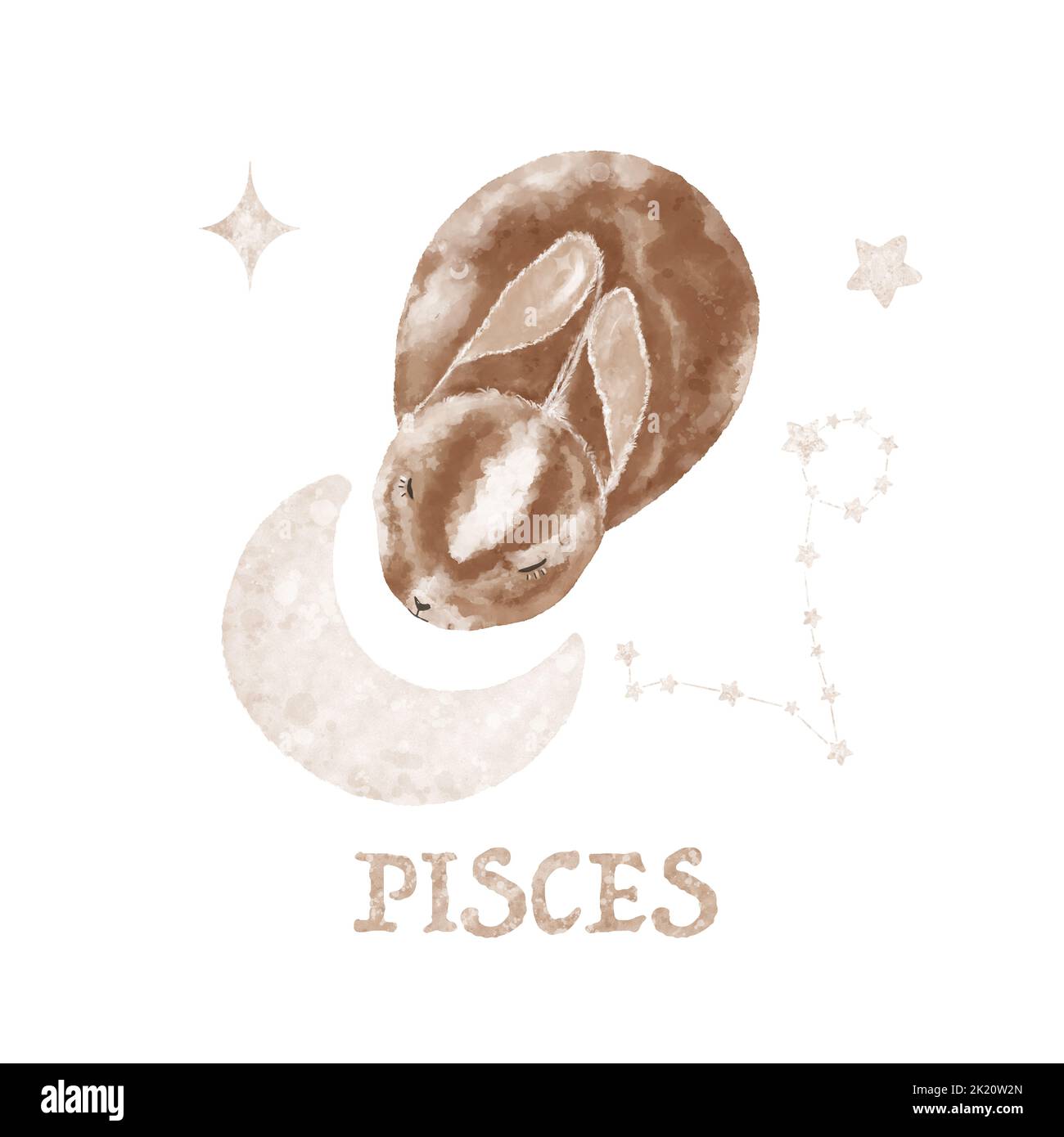 Constellations rabbit hi-res stock photography and images - Alamy