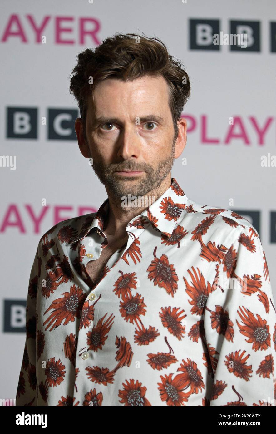 David Tennant attends the screening of new BBC One drama, Inside Man at ...