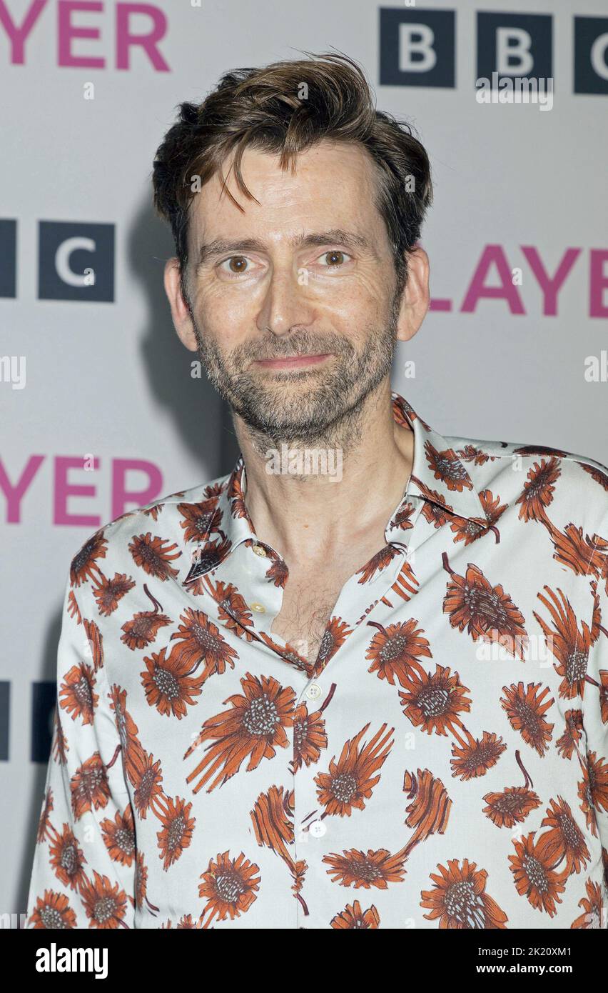 David Tennant attends the screening of new BBC One drama, Inside Man at ...